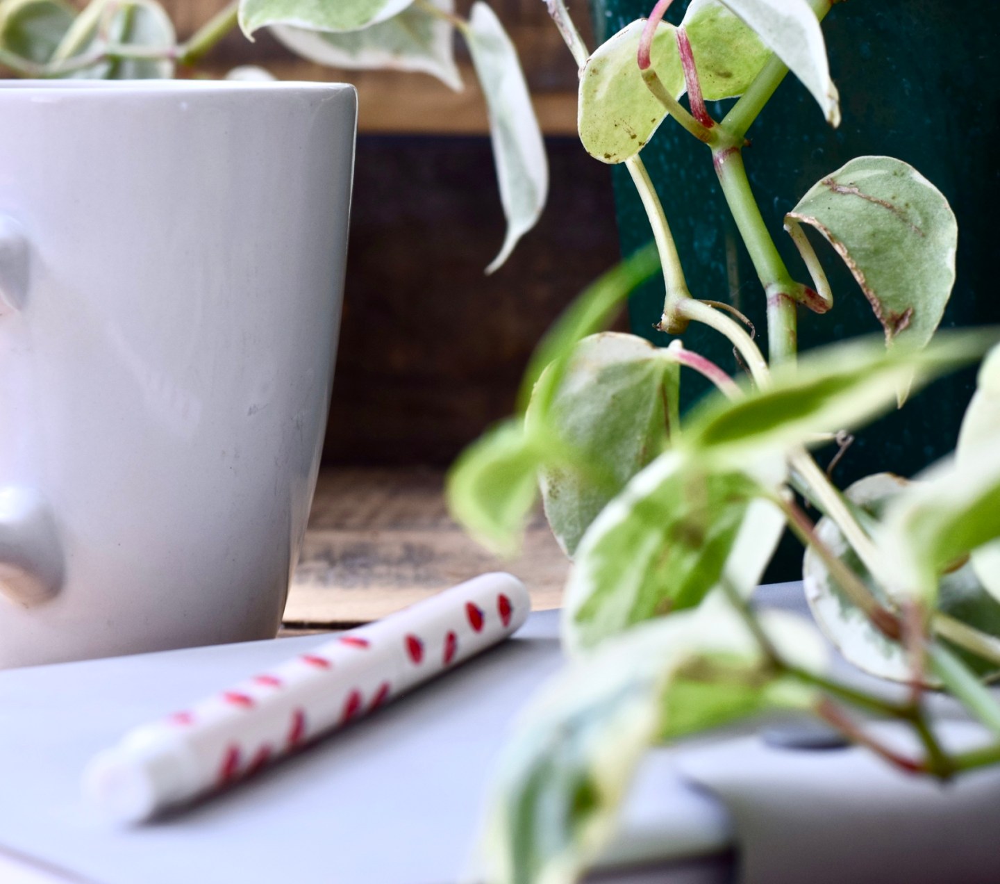 How I Started Journaling Regularly – bonitappétit